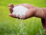 About Urea | NeuRizer Ltd